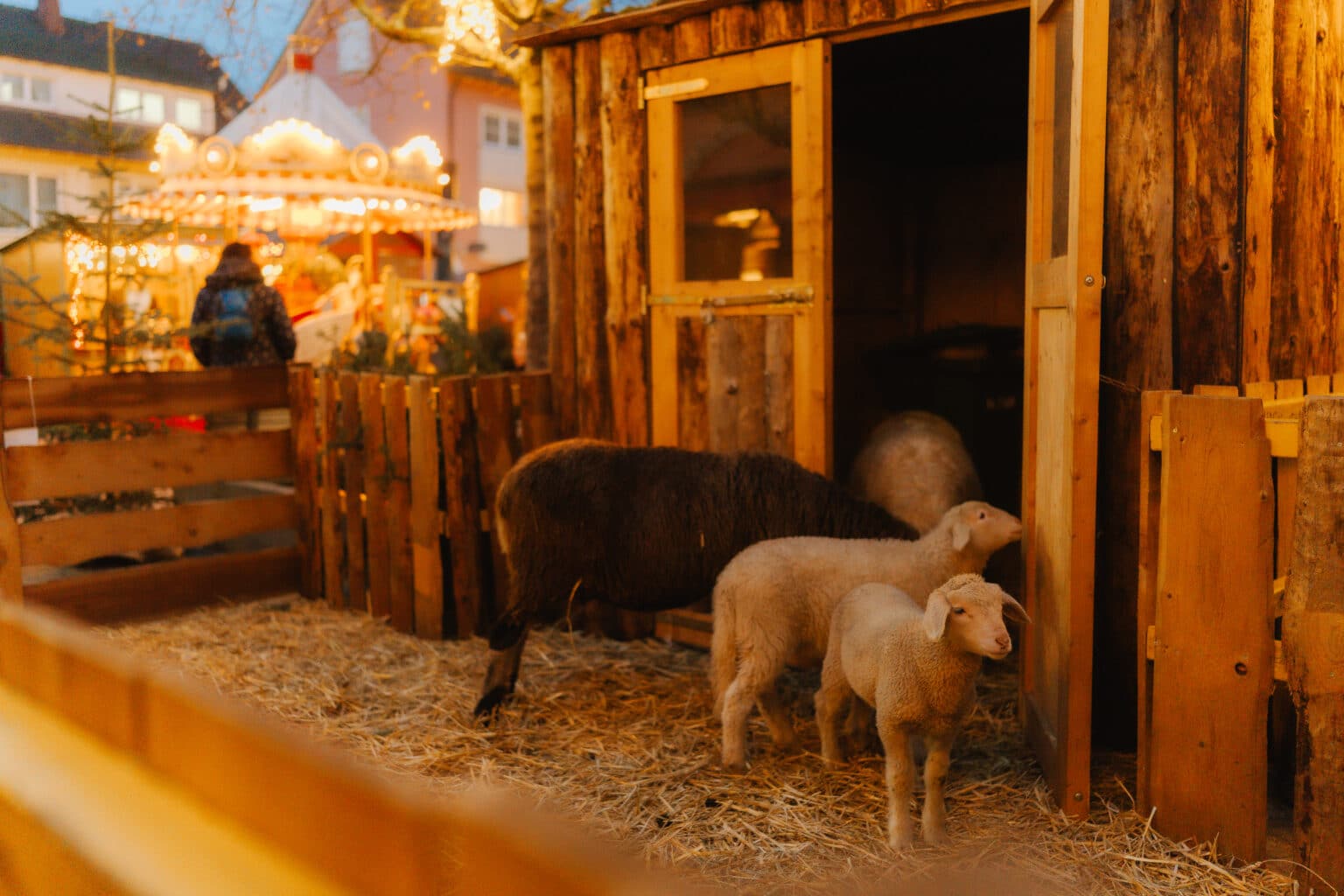 Veranstaltungen | Weingarten.IN Stadtmarketing GmbH